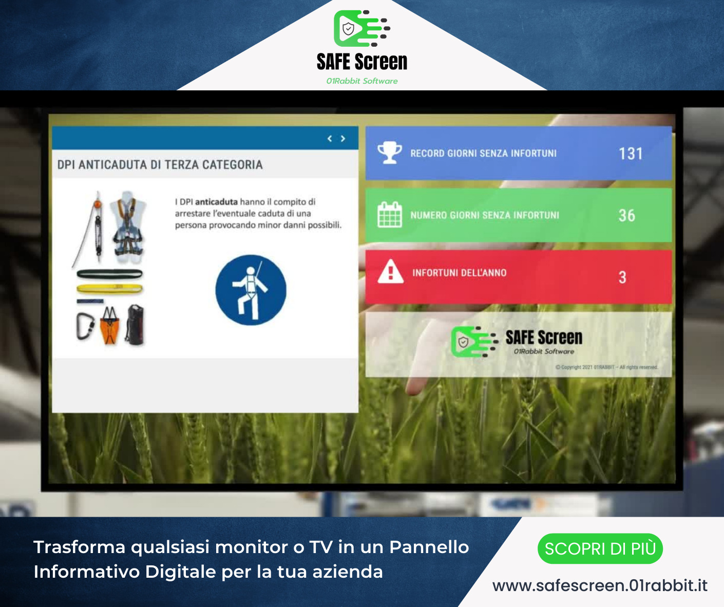 SAFE Screen | 01Rabbit Software